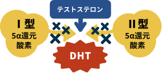 AGA治療薬 | AGA診療ガイドラインから推奨度別に治療薬を解説 | EPARKくすりの窓口